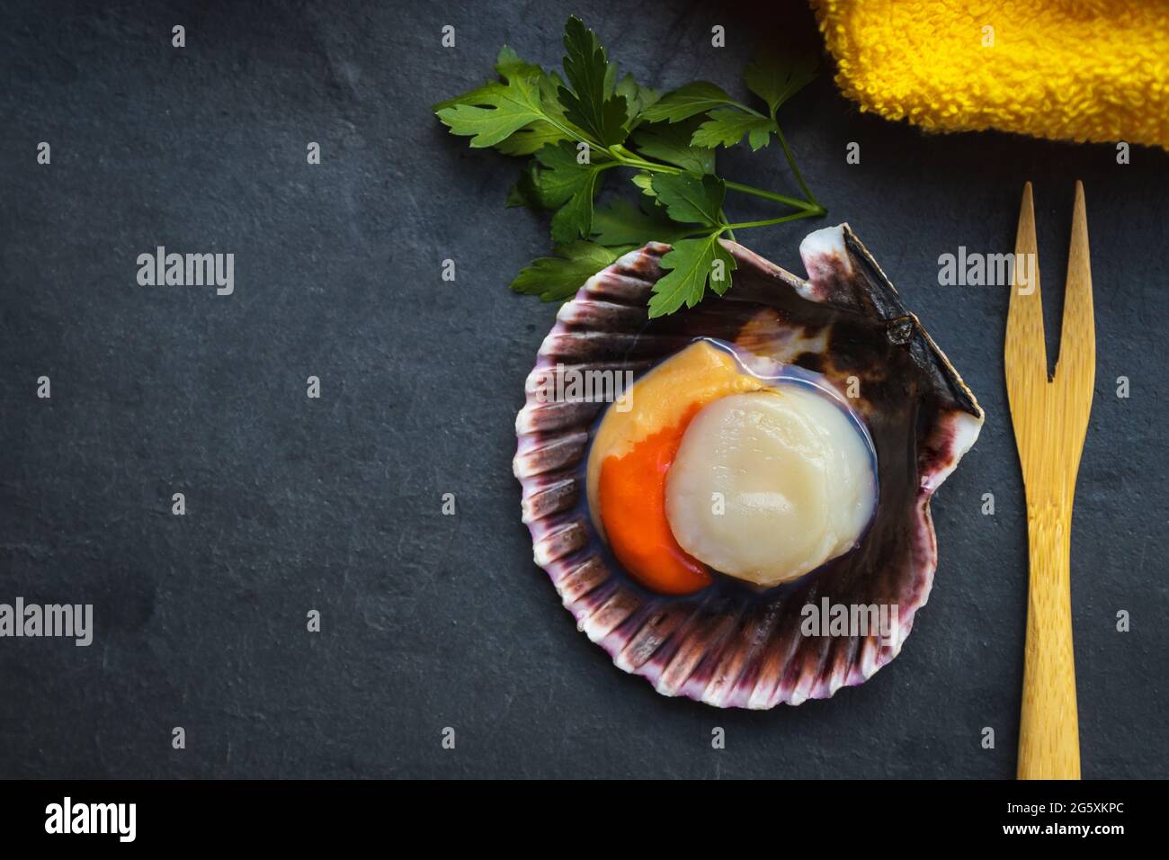 raw natural scallops presented in a shell with a stone background Stock ...