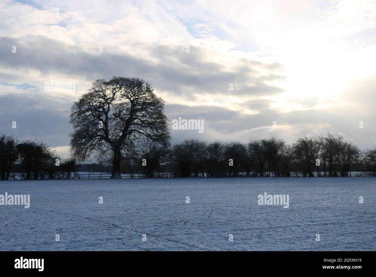 Winter scene in the UK Stock Photo - Alamy