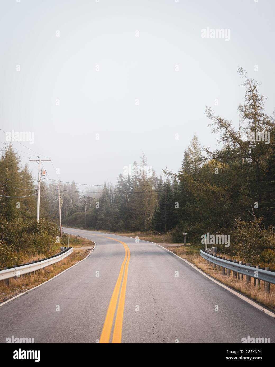 A road with trees on the side, Cutler, Maine Stock Photo - Alamy