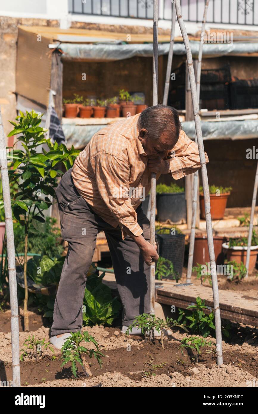 Worker planting tree hi-res stock photography and images - Alamy