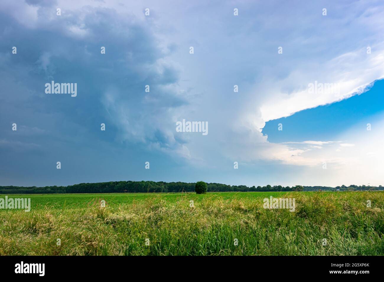 Updraft of a majestic Cumulonimbus storm cloud with large anvil Stock ...