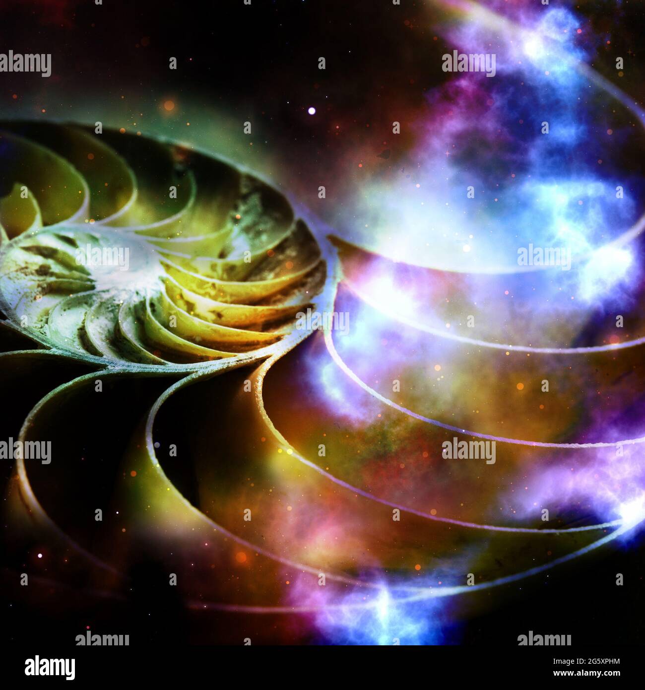 Fibonacci Concept High Resolution Stock Photography and Images - Alamy