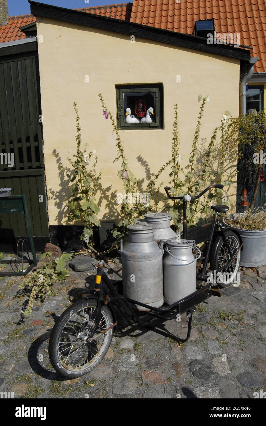 Dragor/Copenhagen/Denmark/ 20 August 2015 Dragoer four century old ...