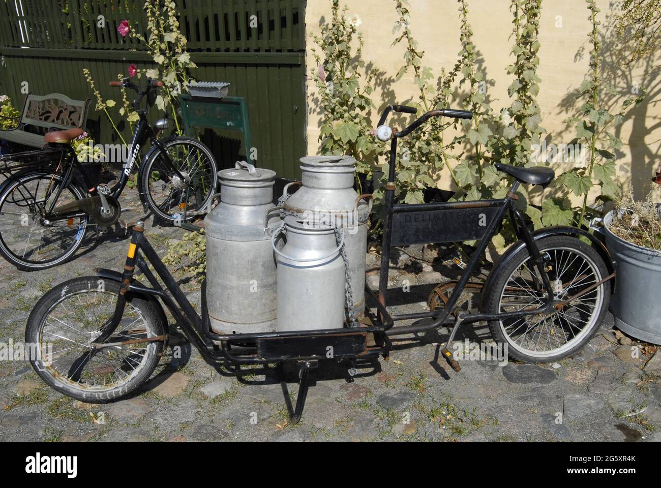 Dragor/Copenhagen/Denmark/ 20 August 2015 Dragoer four century old ...