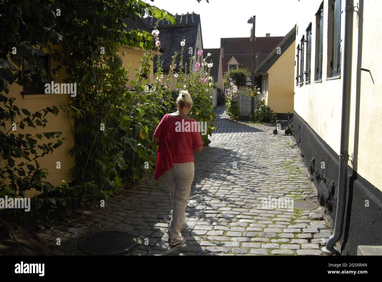 Dragor/Copenhagen/Denmark/ 20 August 2015 Dragoer four century old ...