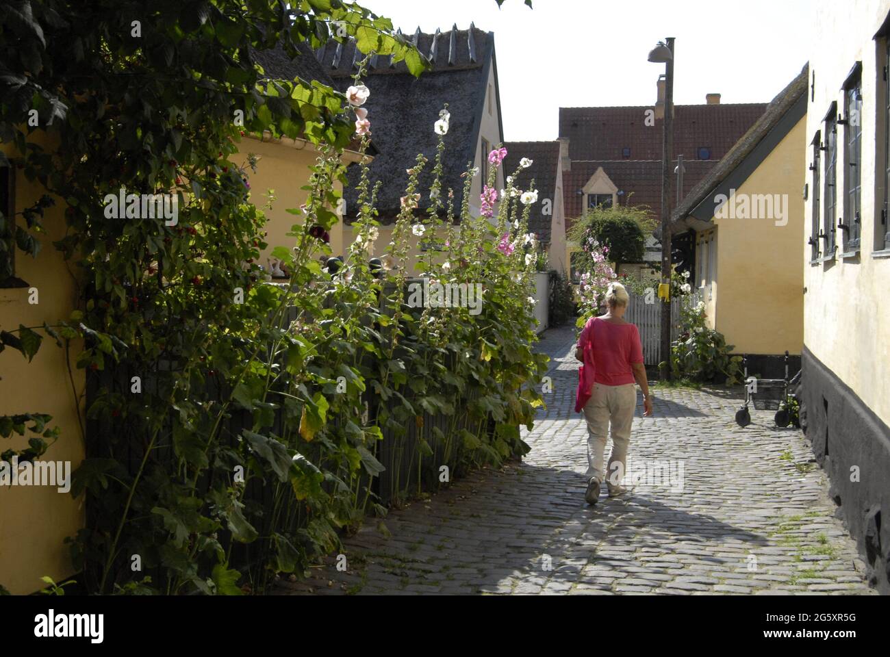 Dragor/Copenhagen/Denmark/ 20 August 2015 Dragoer four century old ...