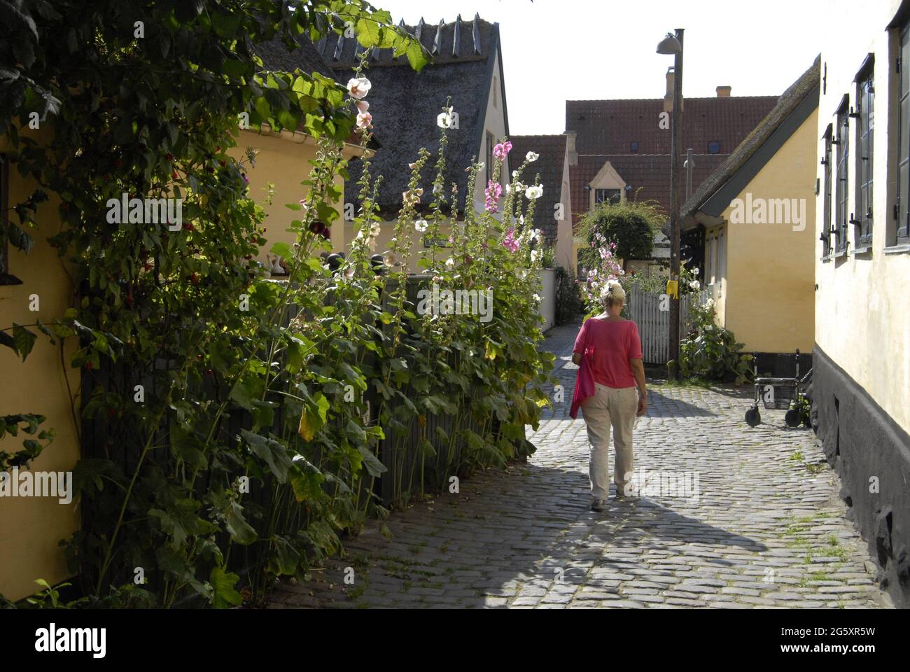Dragor/Copenhagen/Denmark/ 20 August 2015 Dragoer four century old ...