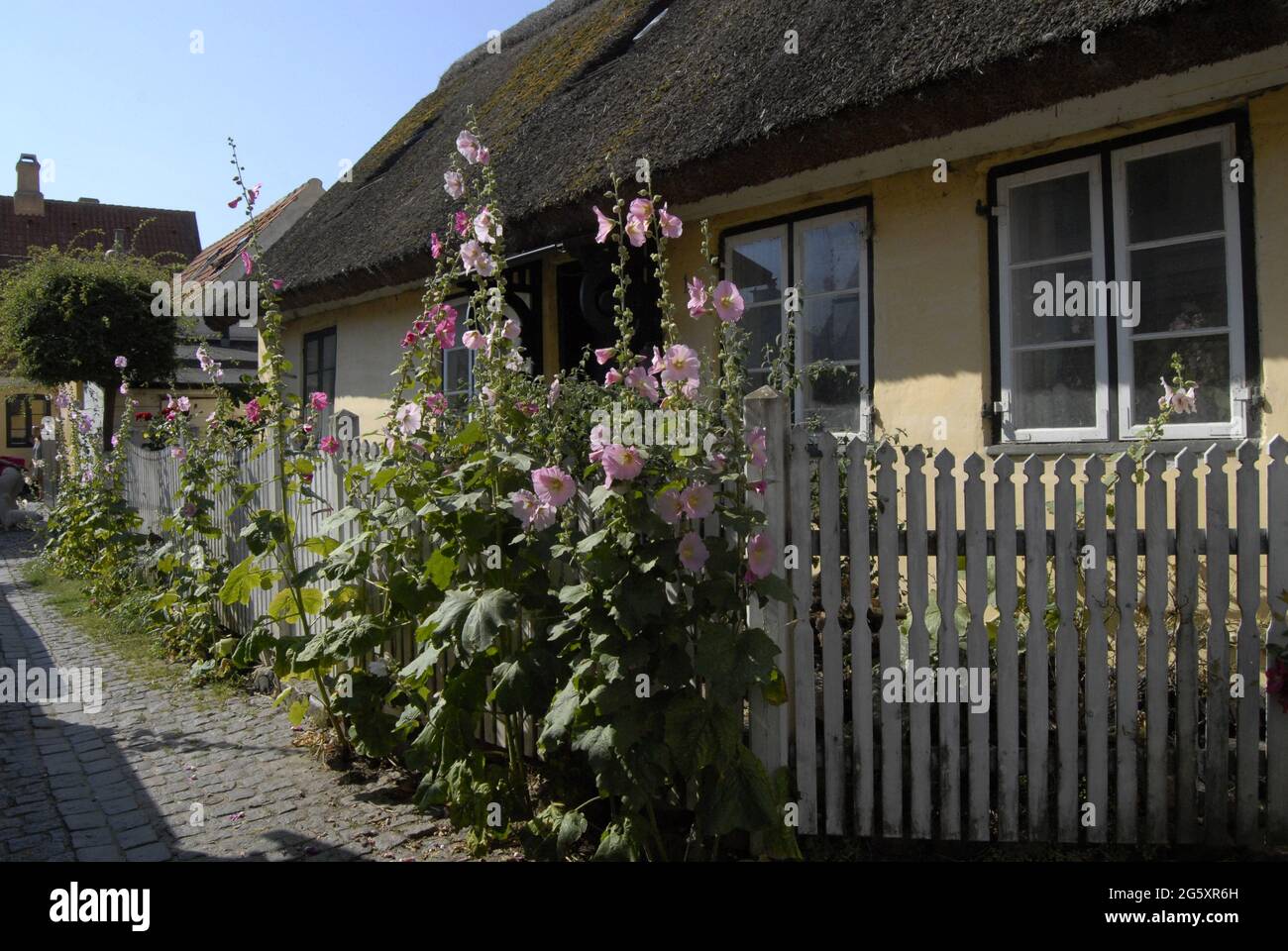 Dragor/Copenhagen/Denmark/ 20 August 2015 Dragoer four century old ...