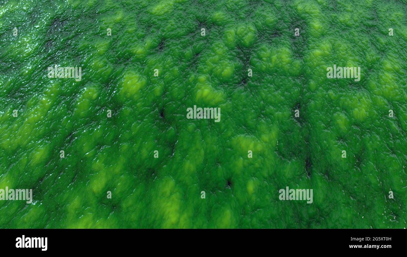 Abstract organic wet slime, biological matter background. Seething ...