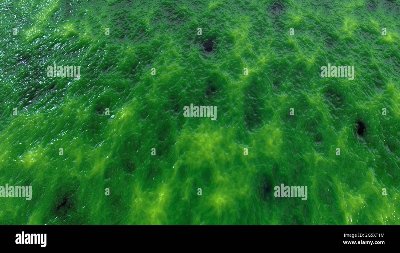 Abstract organic wet slime, biological matter background. Seething ...