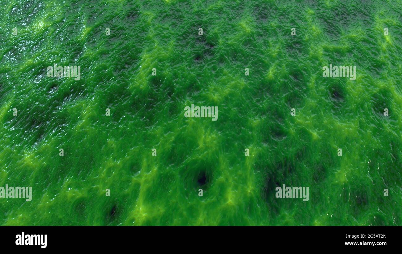 Abstract organic wet slime, biological matter background. Seething ...