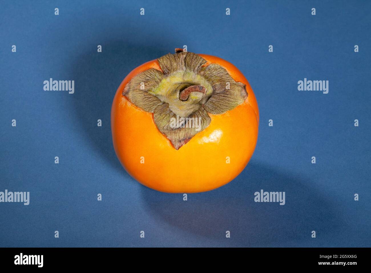 Blue tropical background hi-res stock photography and images - Alamy