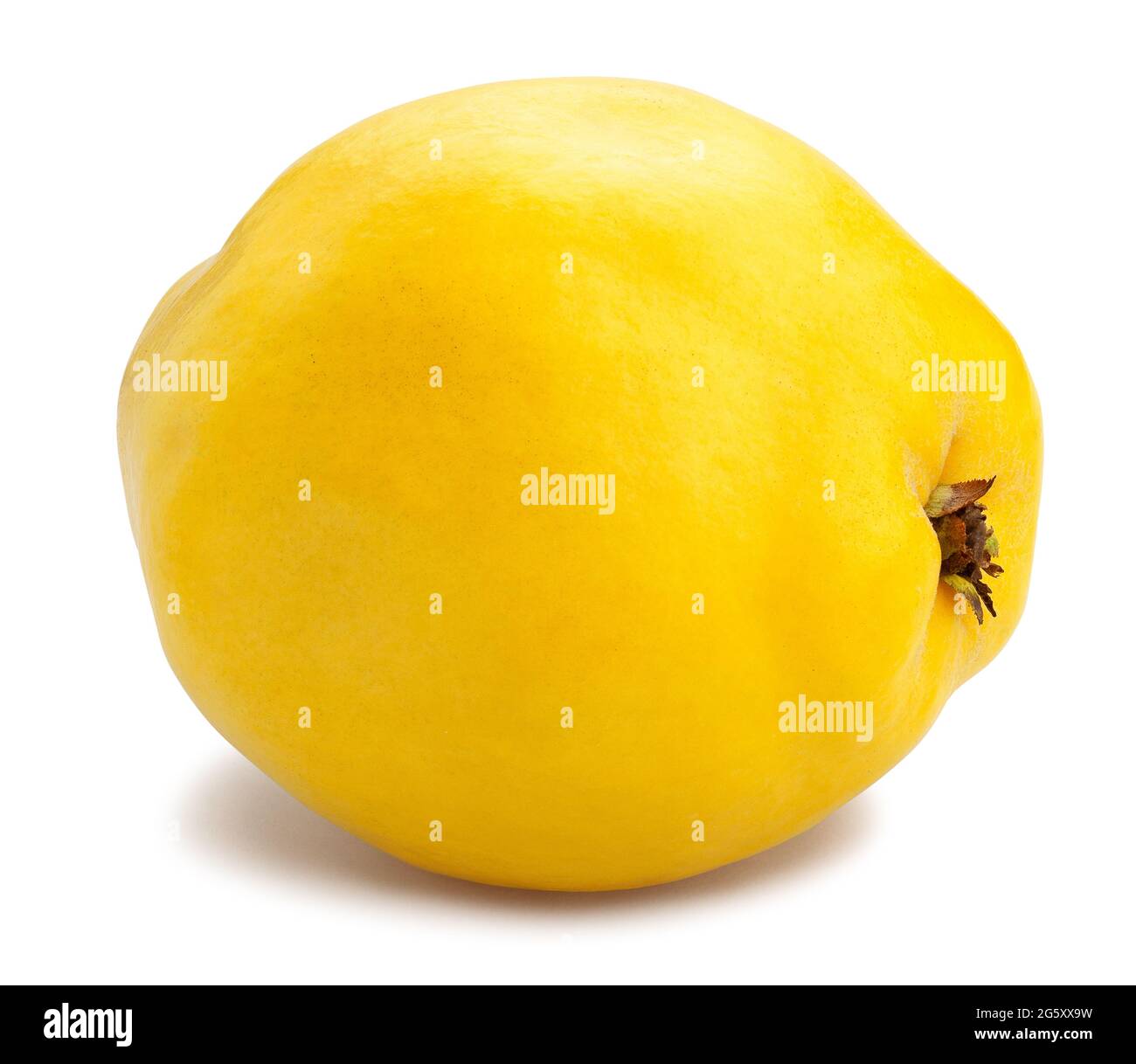 Whole quince hi-res stock photography and images - Alamy