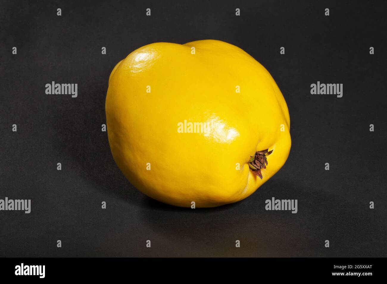 single quince on black background Stock Photo - Alamy