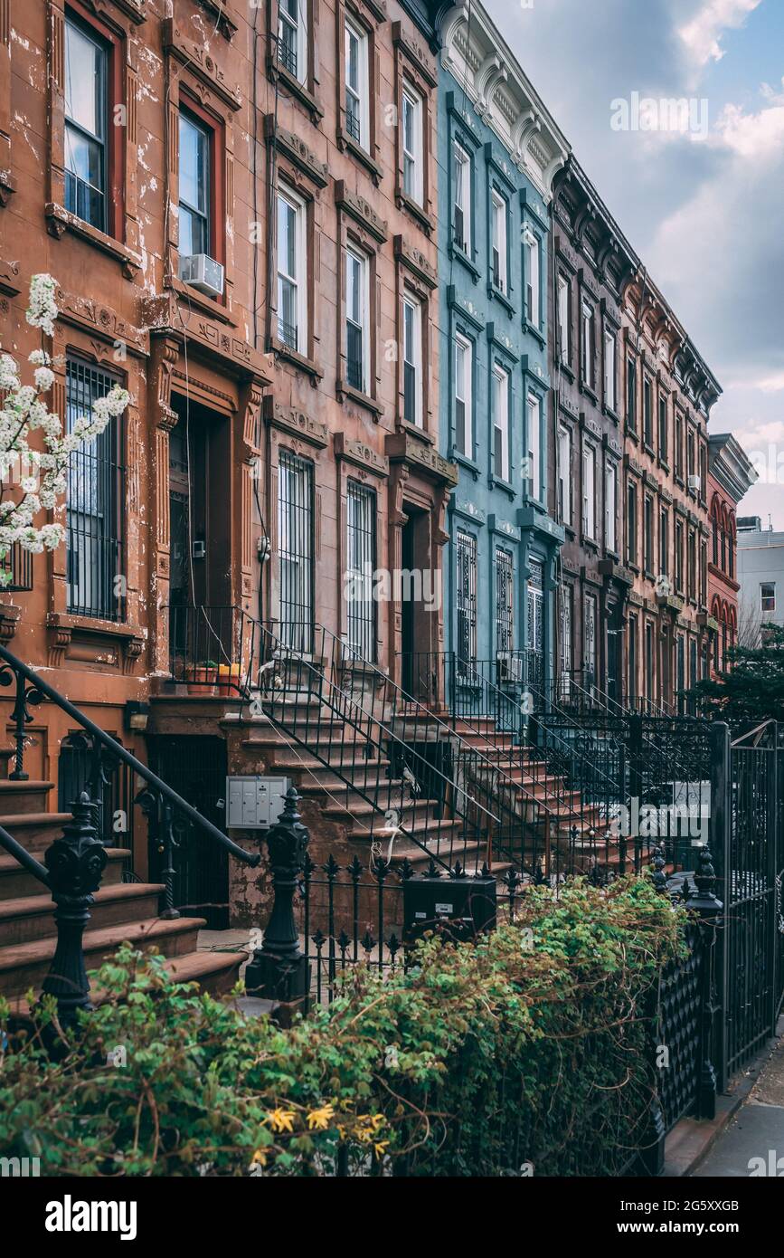 Brownstones in Bushwick, Brooklyn, New York City Stock Photo - Alamy
