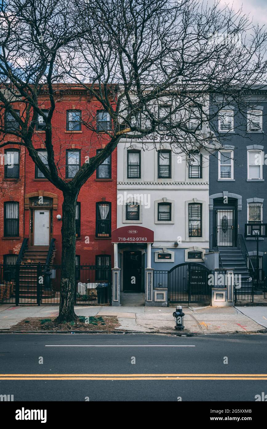 Houses in Bushwick, Brooklyn, New York City Stock Photo - Alamy