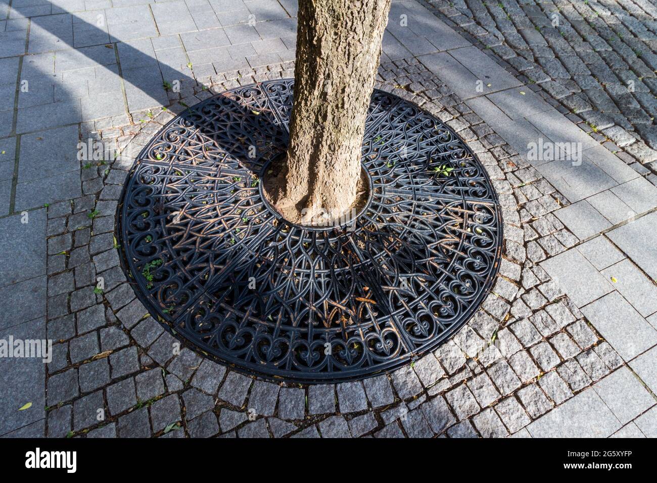 Grid tree hi-res stock photography and images - Alamy