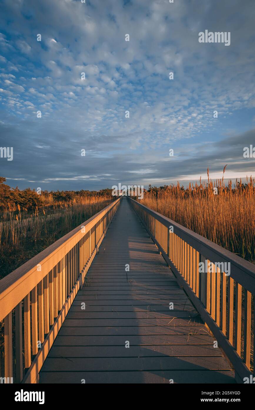 Wooden walkway over marsh hi-res stock photography and images - Alamy