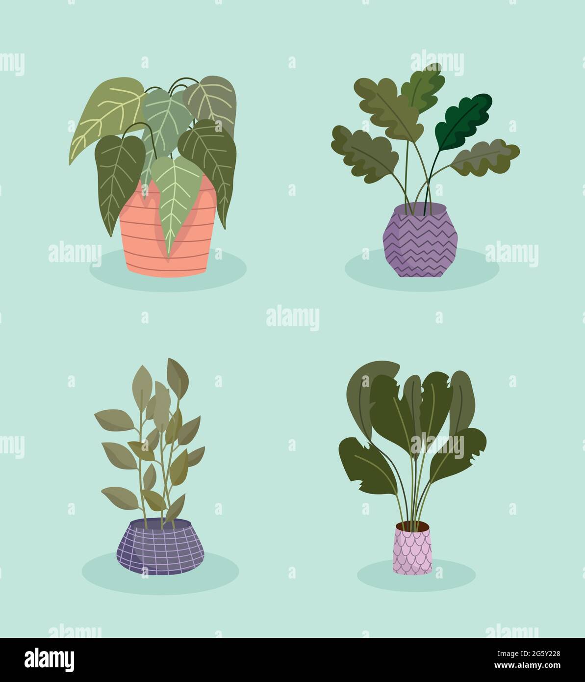 potted plants set Stock Vector Image & Art - Alamy