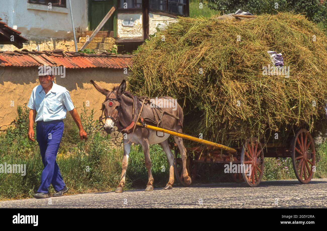 Donkey pulls wagon hi-res stock photography and images - Alamy