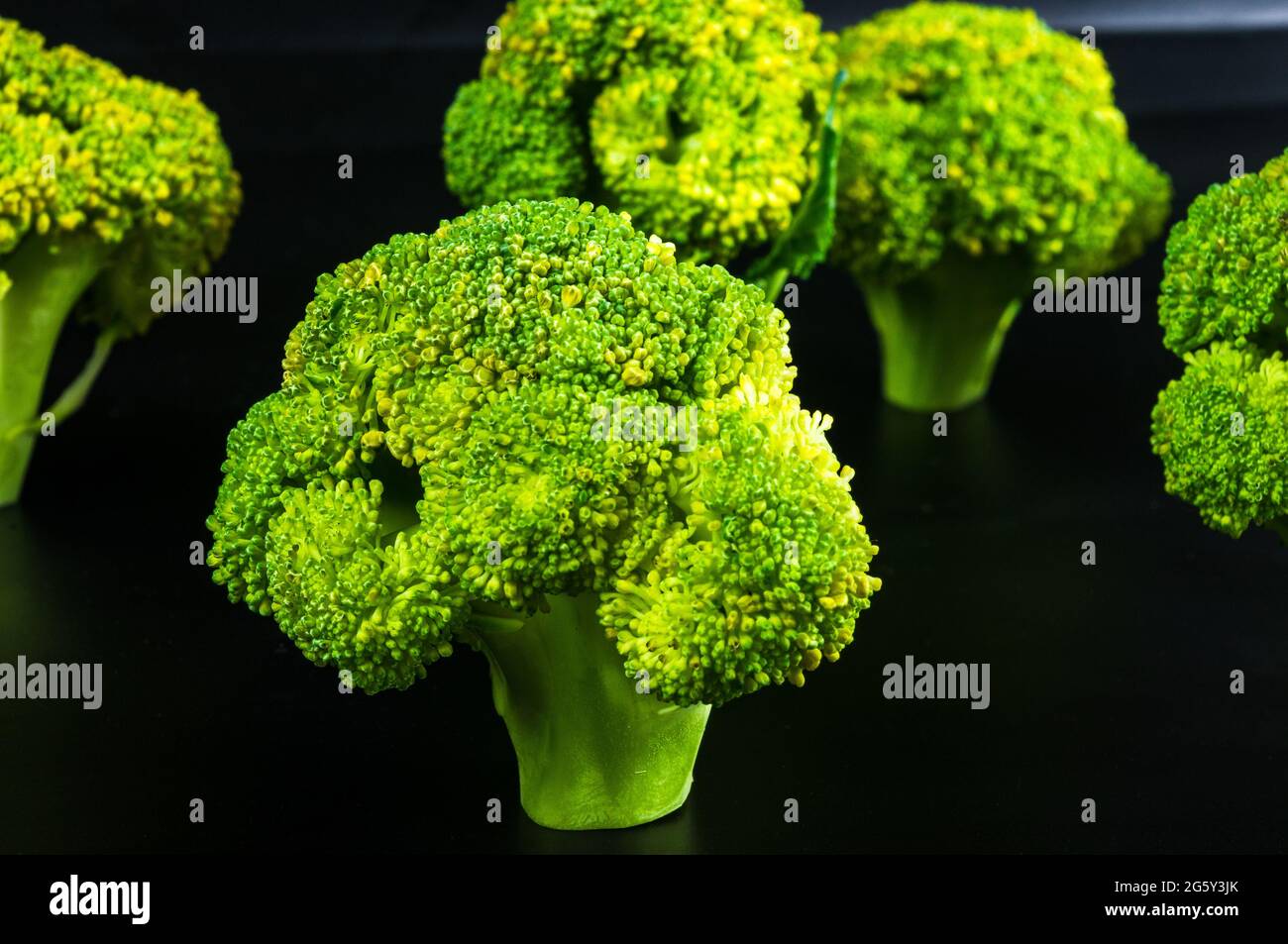 Fantasy mini landscape - trees made with broccoli on a black background ...