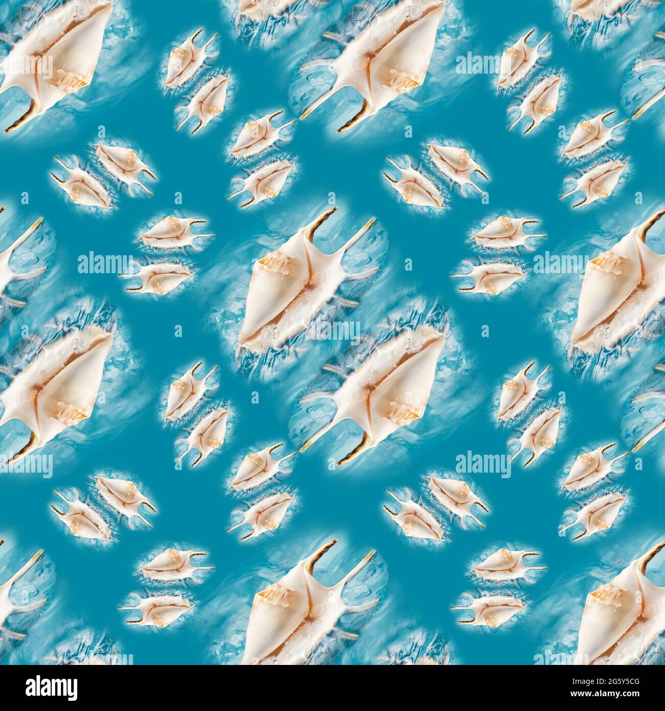 Blue shell pattern hi-res stock photography and images - Alamy