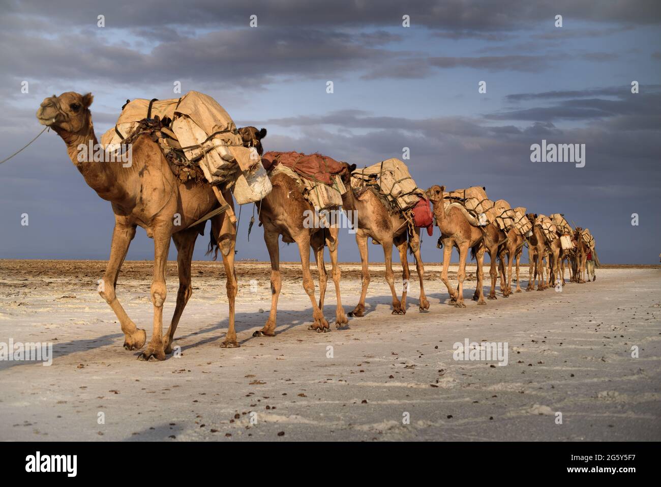 Ethiopia africa in salt hi-res stock photography and images - Alamy