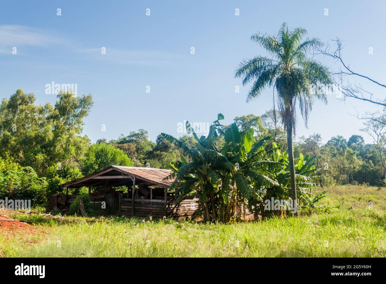 Paraguay poverty hi-res stock photography and images - Alamy