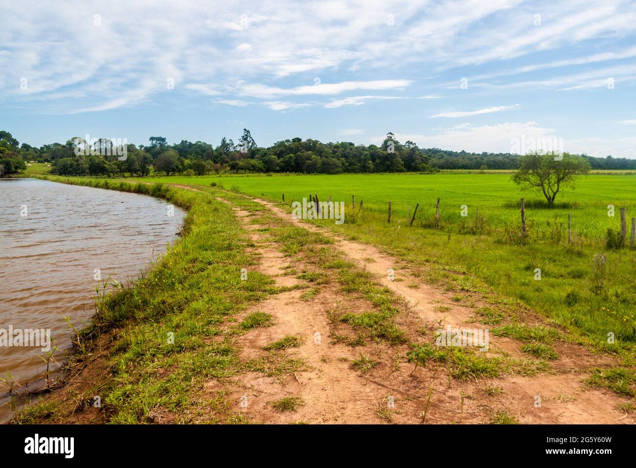 Rural countryside paraguay hi-res stock photography and images - Alamy