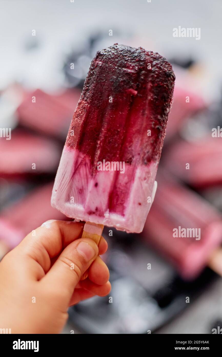 Close up on kid's hand holding colorful blueberry fruit popsicle ...
