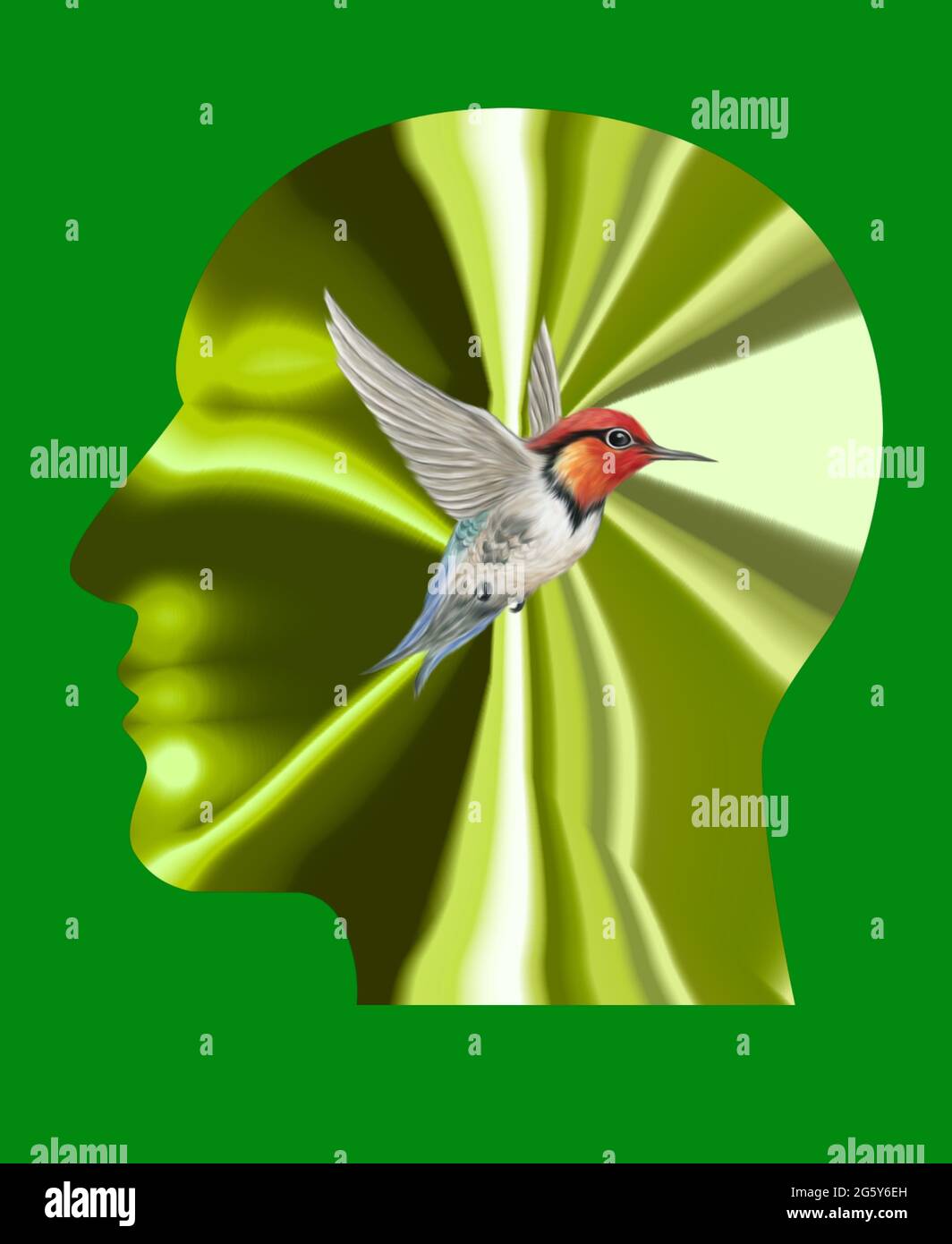 Conceptual background with human head silhouette and thoughts isolated ...