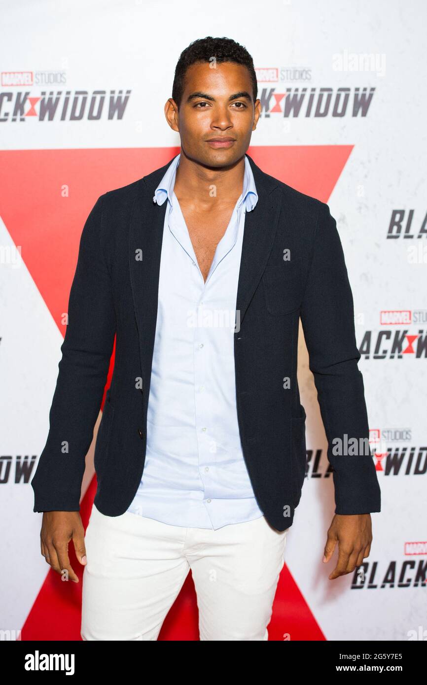 Terence Telle attend the 'Black Widow' Paris Film Premiere at cinema Le ...