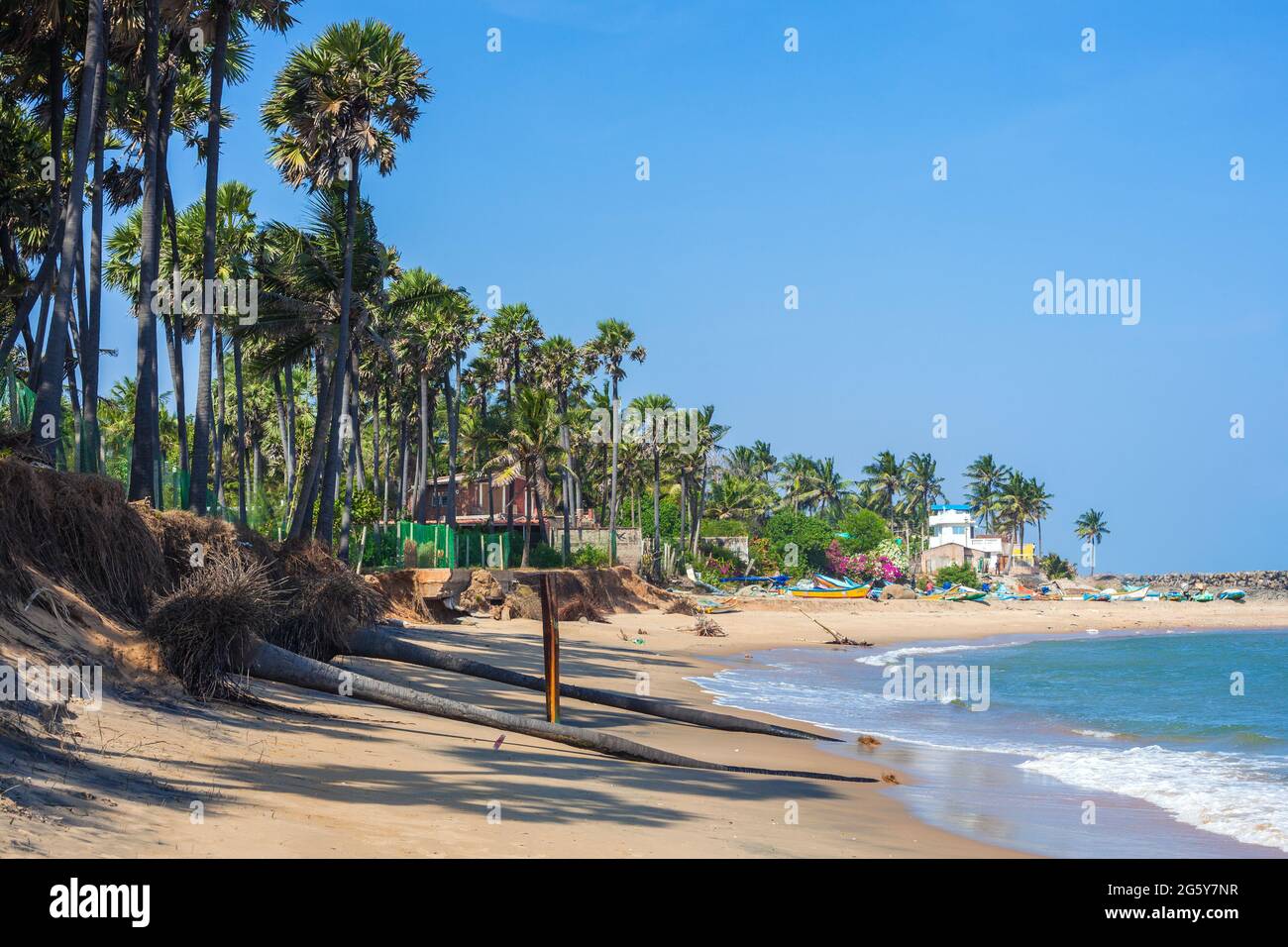 Palm trees, sand and water at idyllic Serenity Beach, Puducherry ...