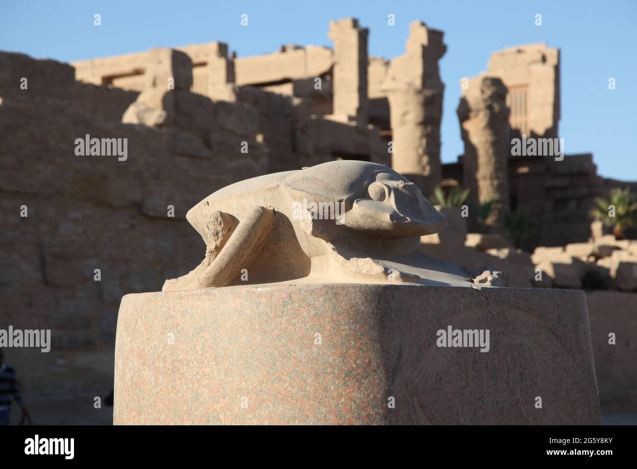 Scarab Statue, Karnak Temple in Egypt Stock Photo - Alamy