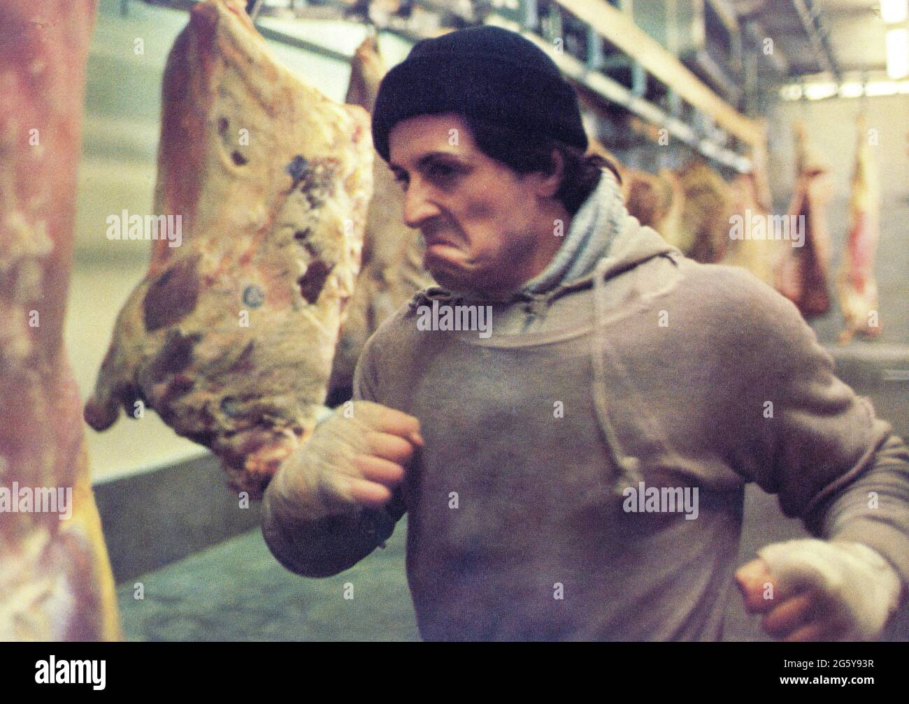 Sylvester Stallone, Half-Length Portrait, on-set of the Film, "Rocky ...