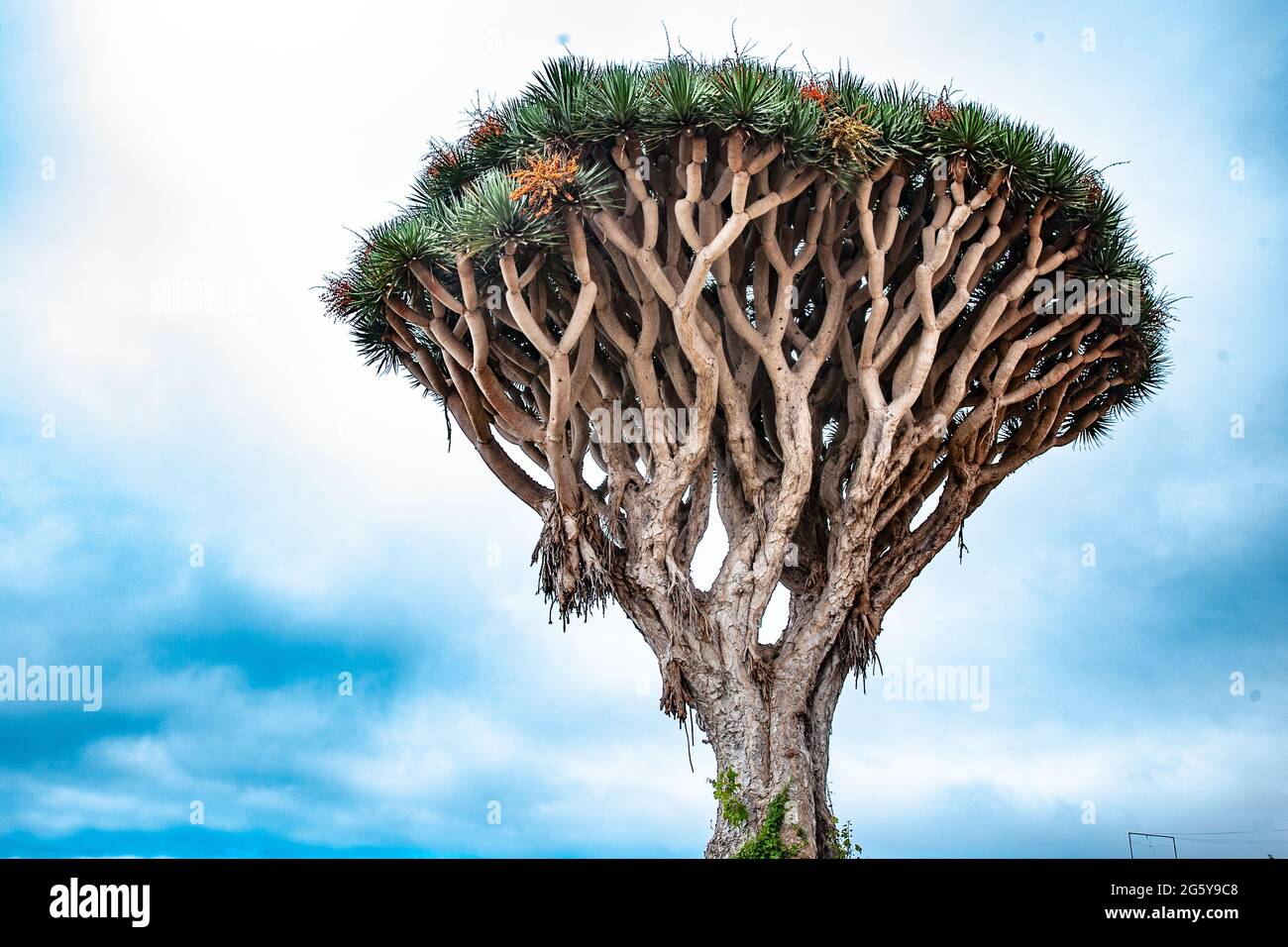 San juan del reparo hi-res stock photography and images - Alamy