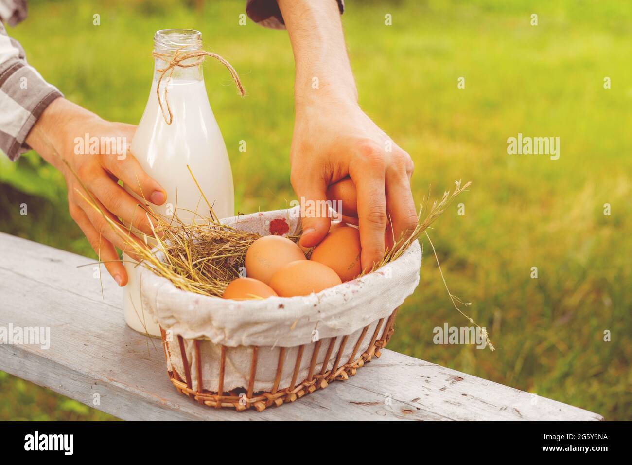 healthy fresh dairy products of milk and eggs on the farm Stock Photo ...