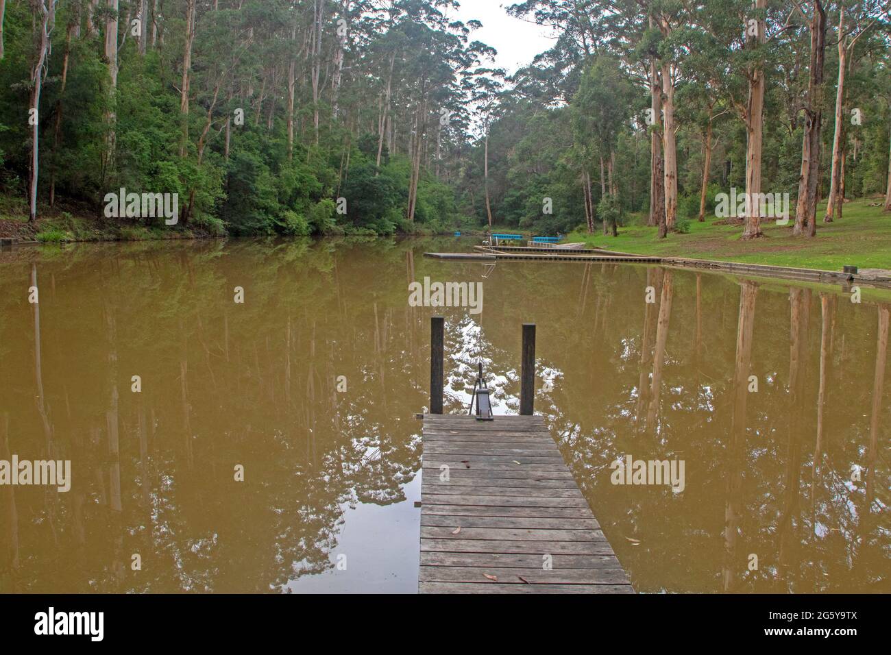 Forest swimming pool hi-res stock photography and images - Alamy