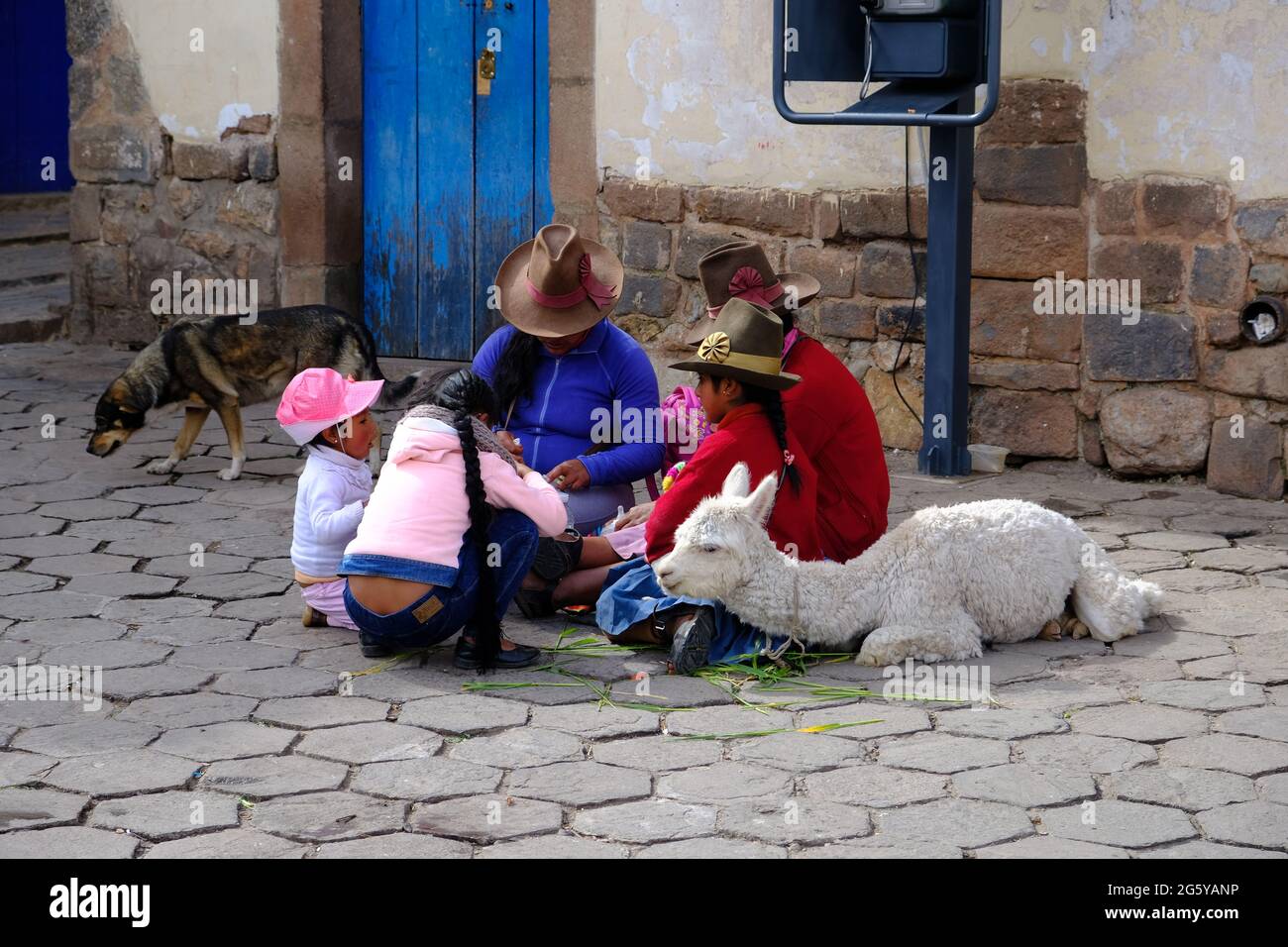 Peru Cusco - Peruvian family with Alpaca Stock Photo - Alamy