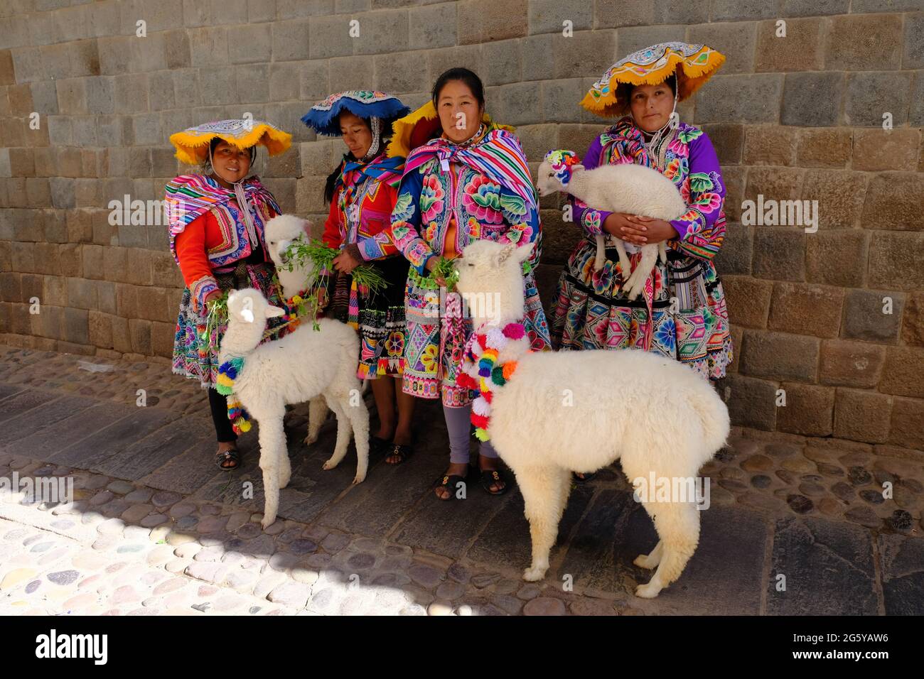 Peru Cusco - Group of Indigenous with Alpacas Stock Photo - Alamy