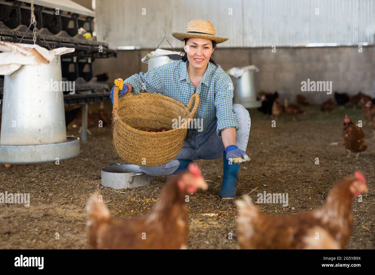 Asian woman feeding hens in chicken coop Stock Photo - Alamy