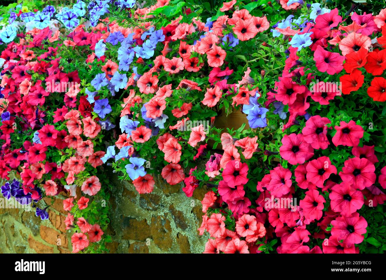 Carstone wall hi-res stock photography and images - Alamy