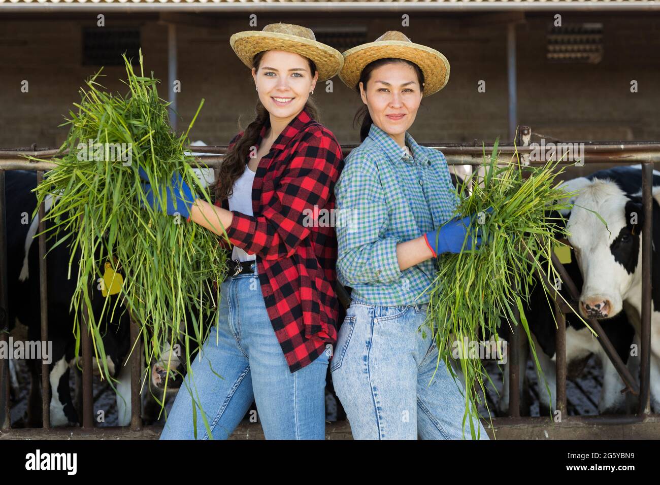 Portrait of two positive female farmers in a cowshed, holding freshly ...
