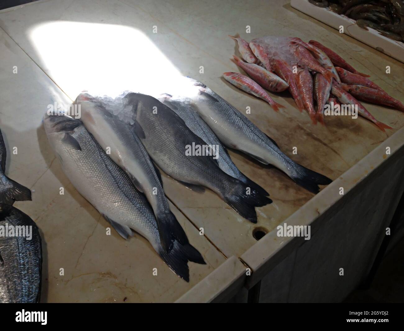 fresh fish in ice Stock Photo - Alamy