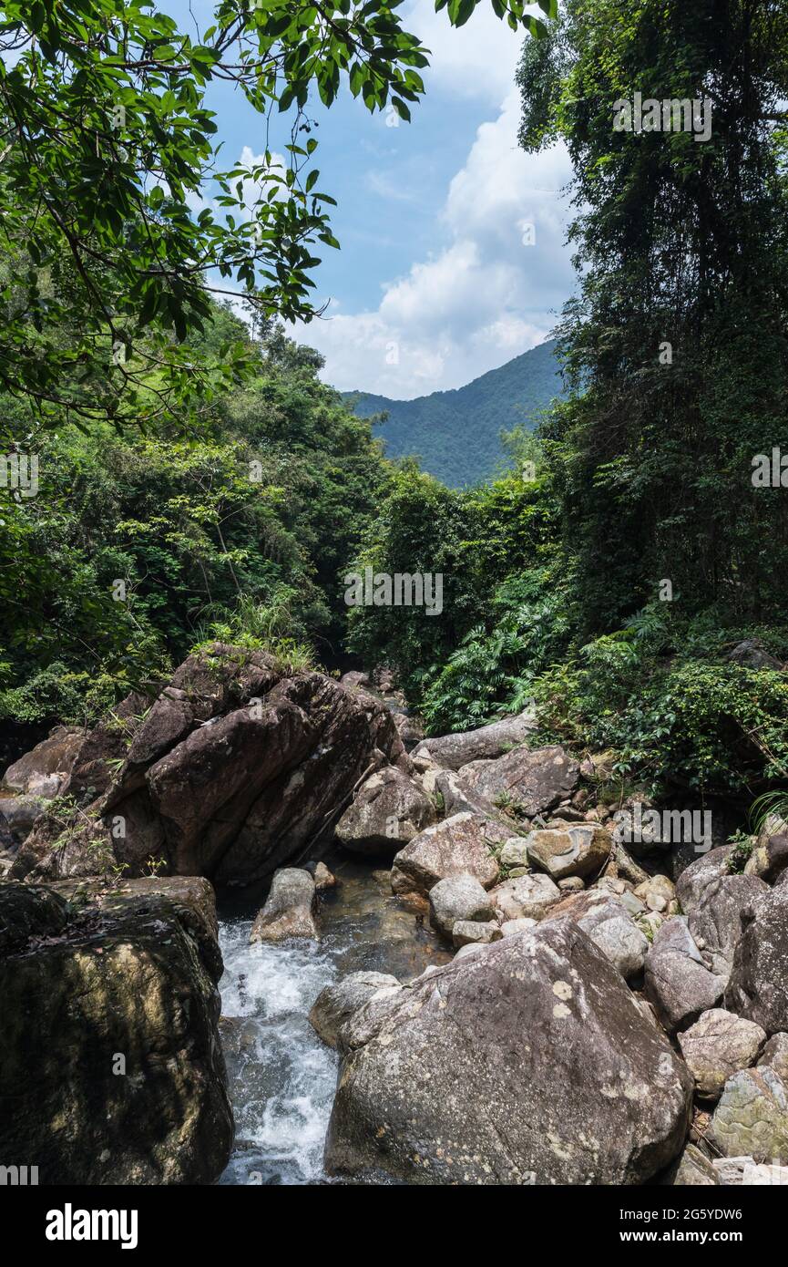 Rocks and streams and waterfalls in the canyon Stock Photo - Alamy