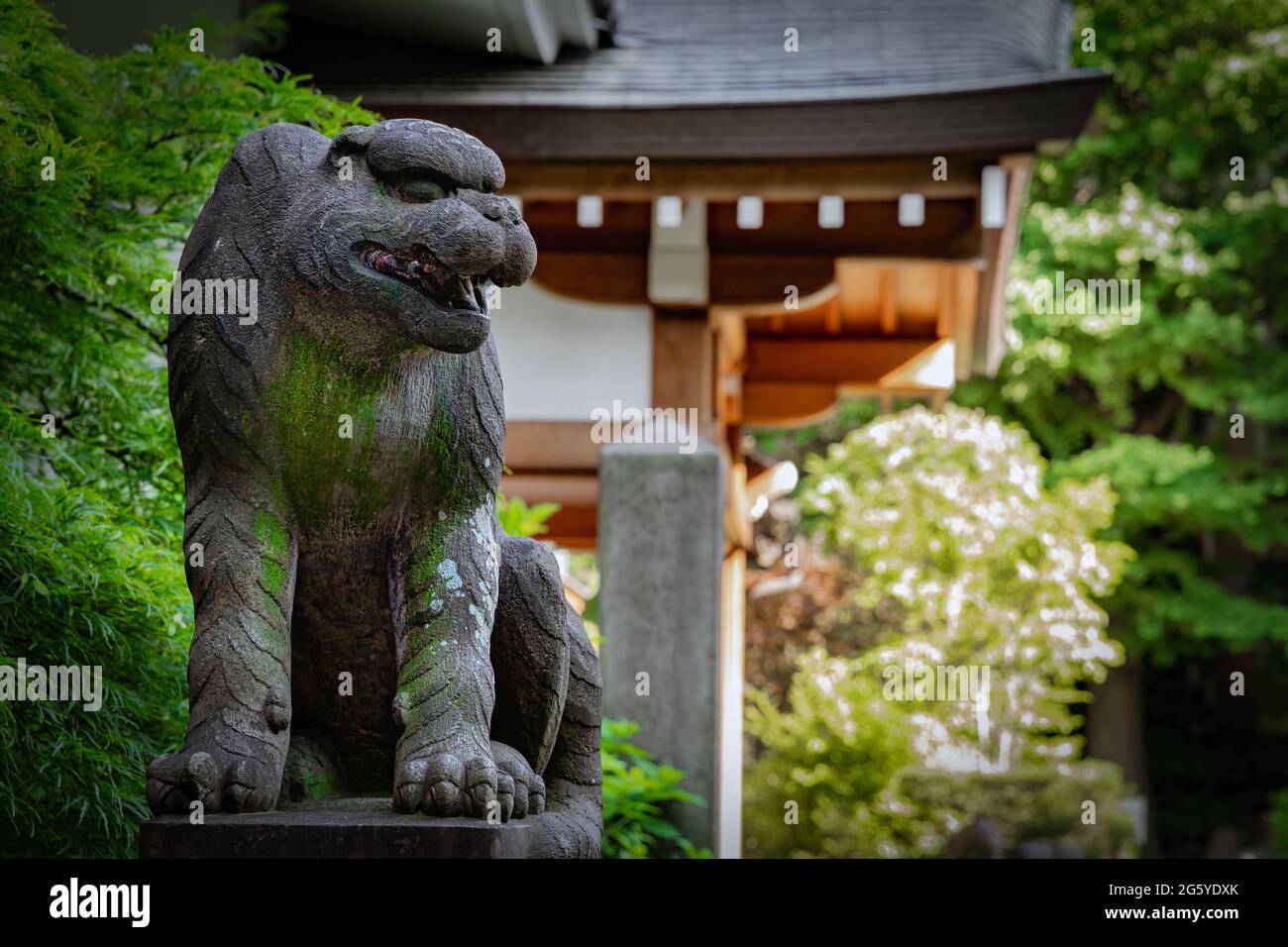 A stone statue guards the Tengenji Temple in Minato, a suburb of Tokyo ...