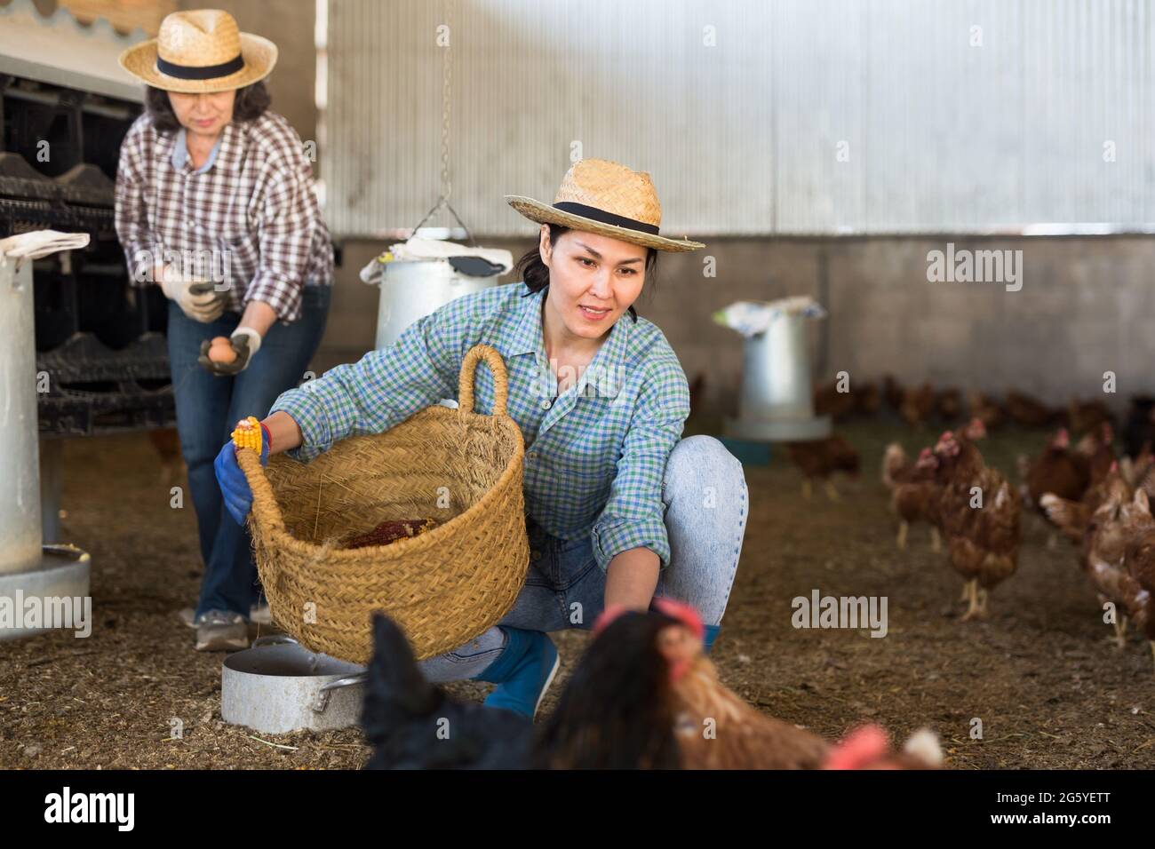 Woman farmer feeding bird in the backyard of village house Stock Photo ...