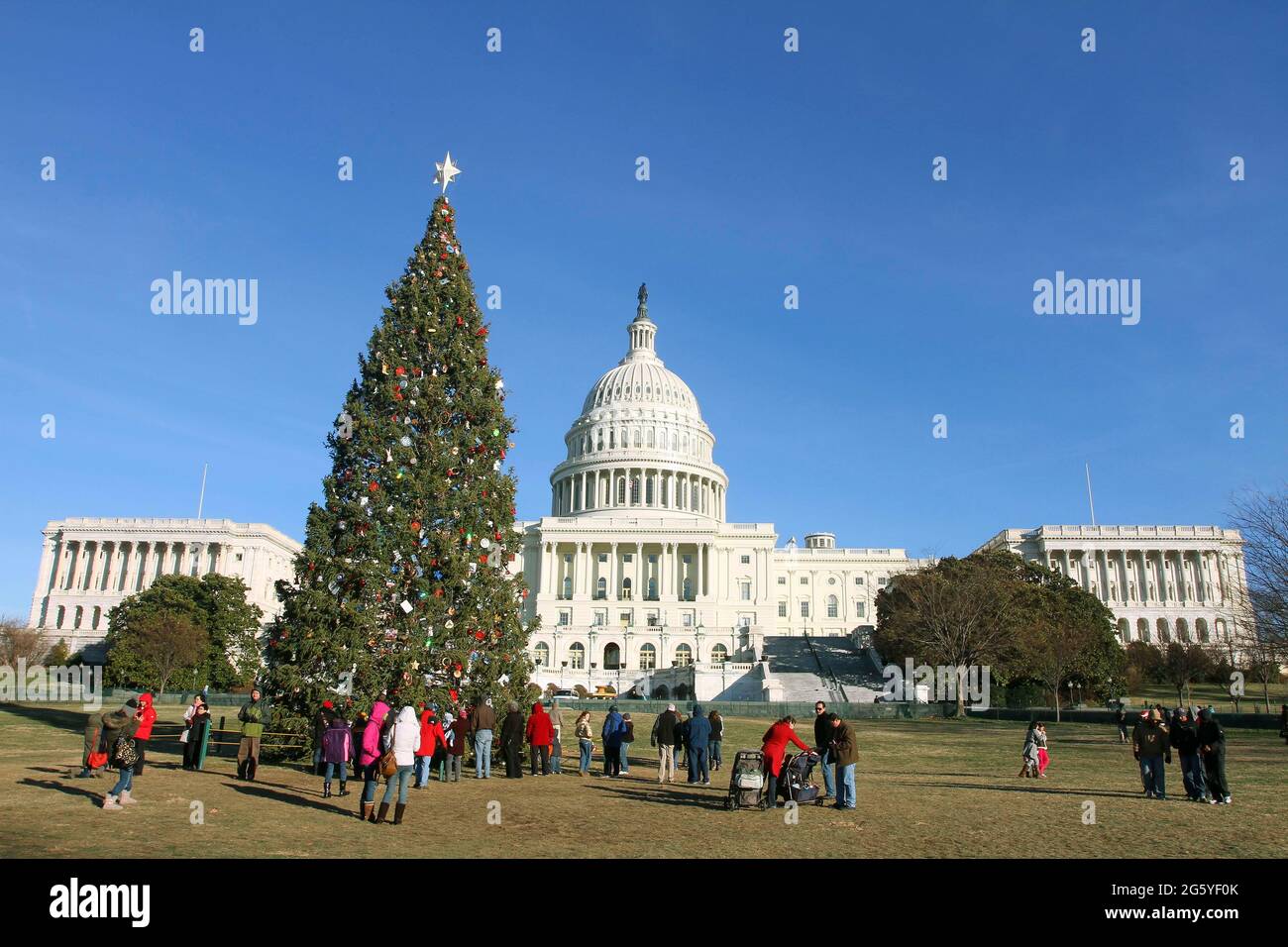 U s capitol tree hi-res stock photography and images - Alamy