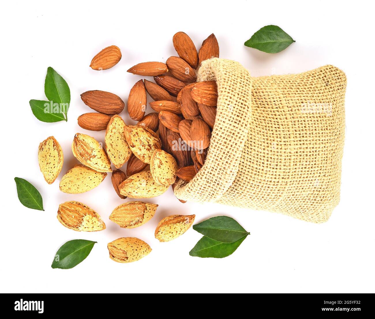 Top view of Almond isolated on white background Stock Photo - Alamy
