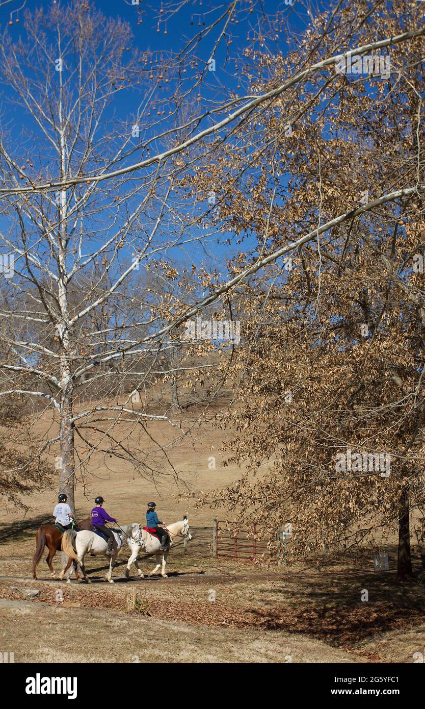 Riders on horse follow mountains hi-res stock photography and images ...